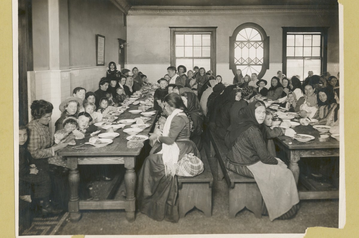 C.V. – Katherine Crowe